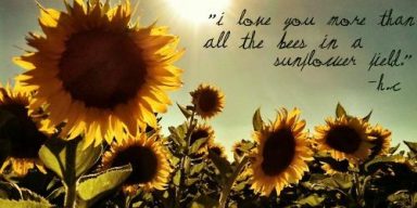 32 Sunflower Quotes and Sayings – Takeaway Quotes